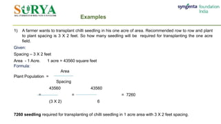 Calculation of Plant population.pptx. . | PPTX