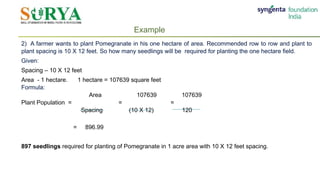 Calculation of Plant population.pptx. . | PPTX