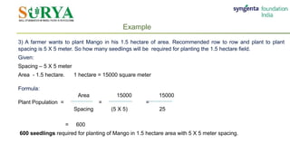Calculation of Plant population.pptx. . | PPTX