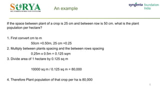 Calculation of Plant population.pptx. . | PPTX