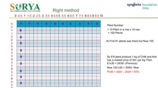 Calculation of Plant population.pptx. . | PPTX