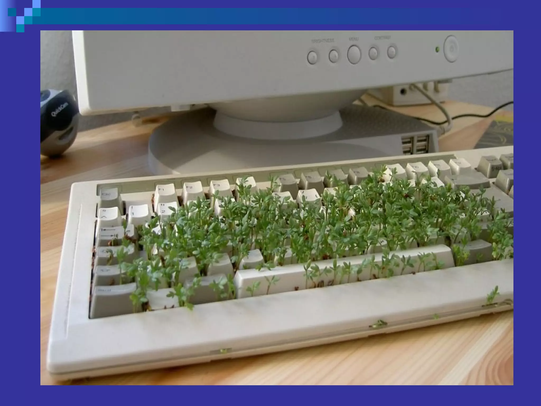 Calculatorul Personal | PPS