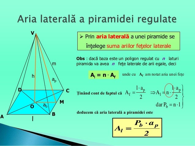Calcul de arii si volume