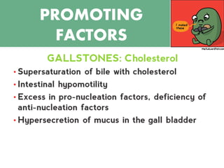 Calculi Formation | PDF