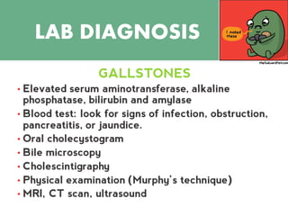 Calculi Formation | PDF