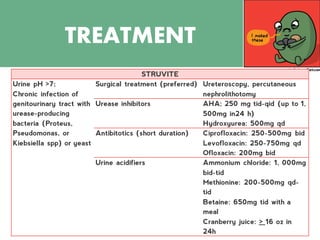 Calculi Formation | PDF