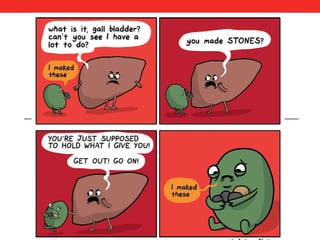 Calculi Formation | PDF