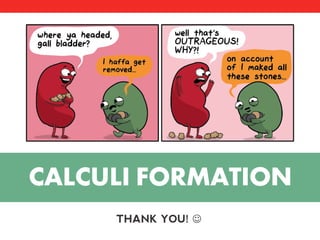 Calculi Formation | PDF