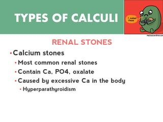 Calculi Formation | PDF