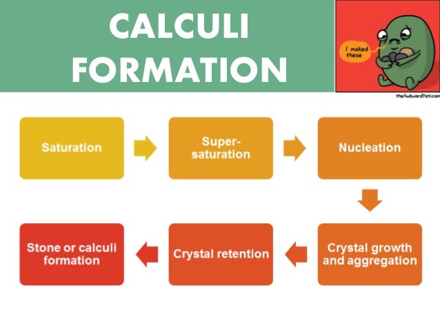 Calculi Formation