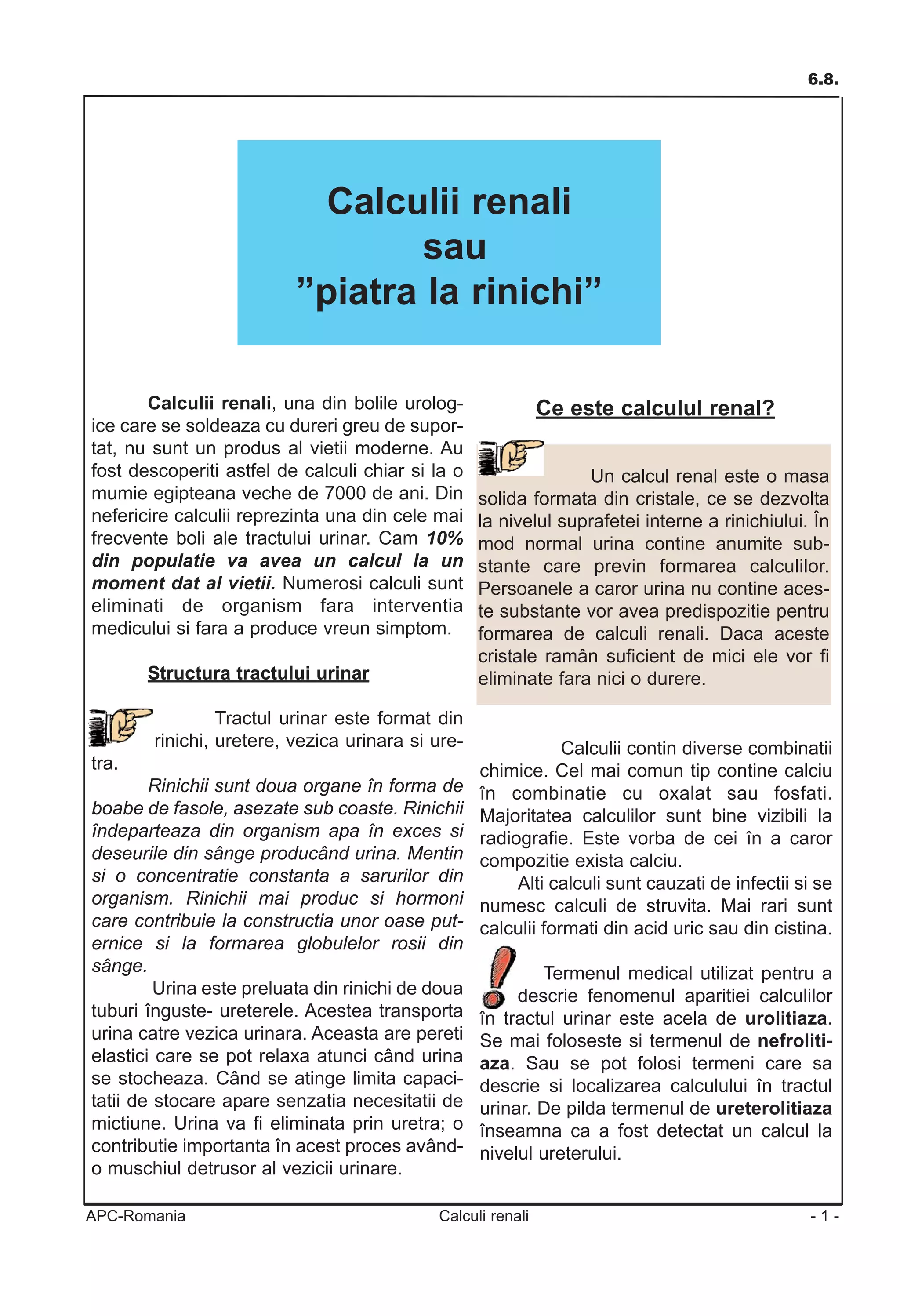 Calculi renali | PDF
