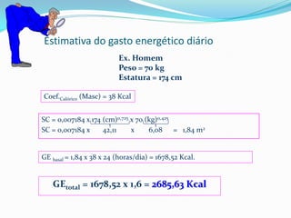 C alculo de kcal em atividade fisica | PDF