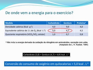 C alculo de kcal em atividade fisica | PDF