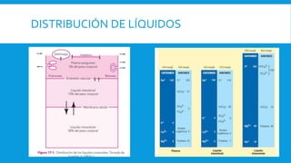 Calculo de líquidos y electrolitos expo.pptx