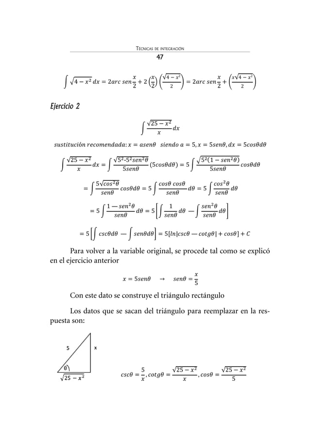 Calculo integral.pdf