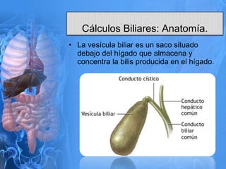 Calculos biliares y calculos renales | PPT