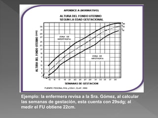 Calculos obstetricos | PDF