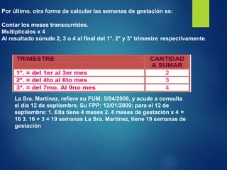 calculosobstetricos. Semanas de gestacion | PPTX