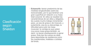 Calculo somatotipo (2) | PDF