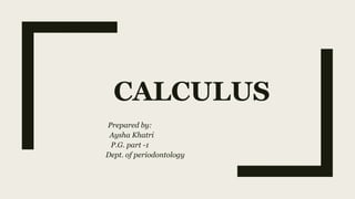 Calculus | PPTX