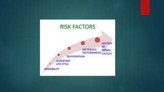 Calculus Disease Renal Stones Radiology | PPTX