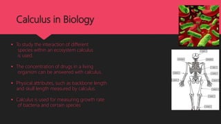History of calculus and applications | PPTX