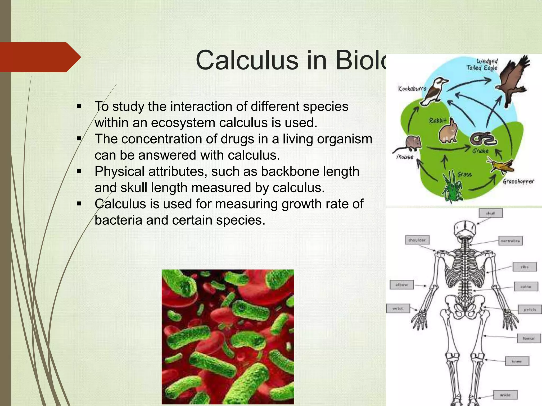 Calculus in real life | PPT