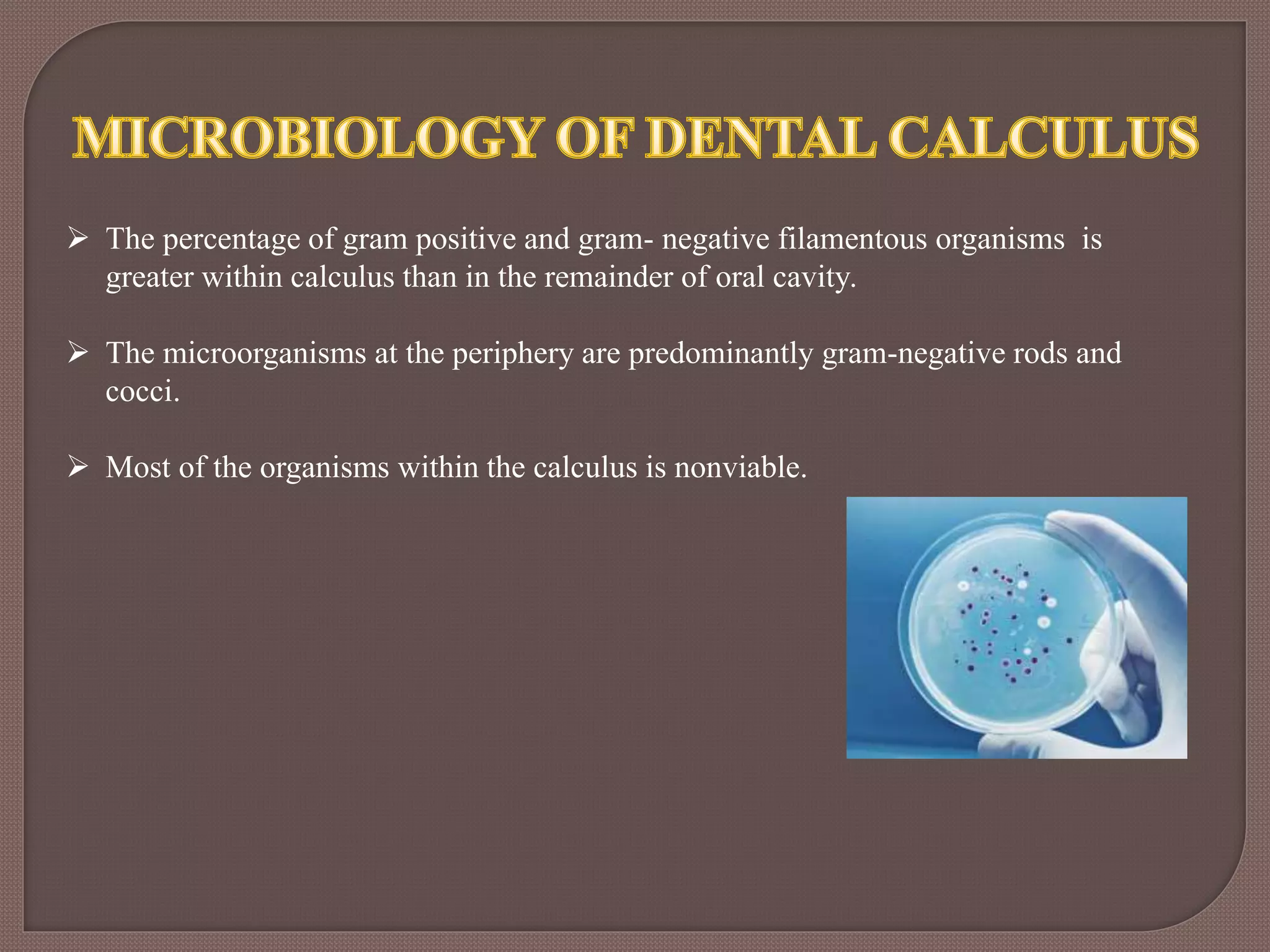 Dental Calculus ppt | PPTX