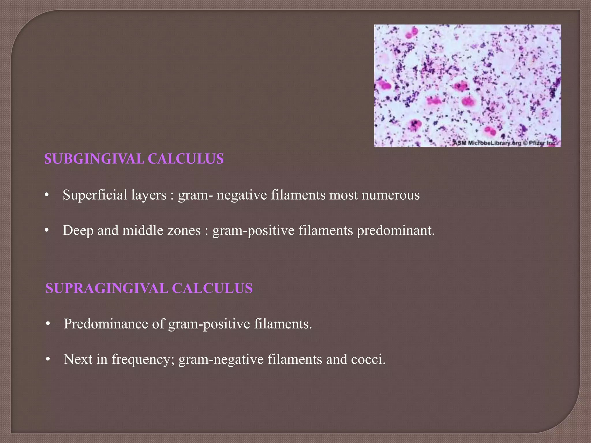 Dental Calculus ppt | PPTX