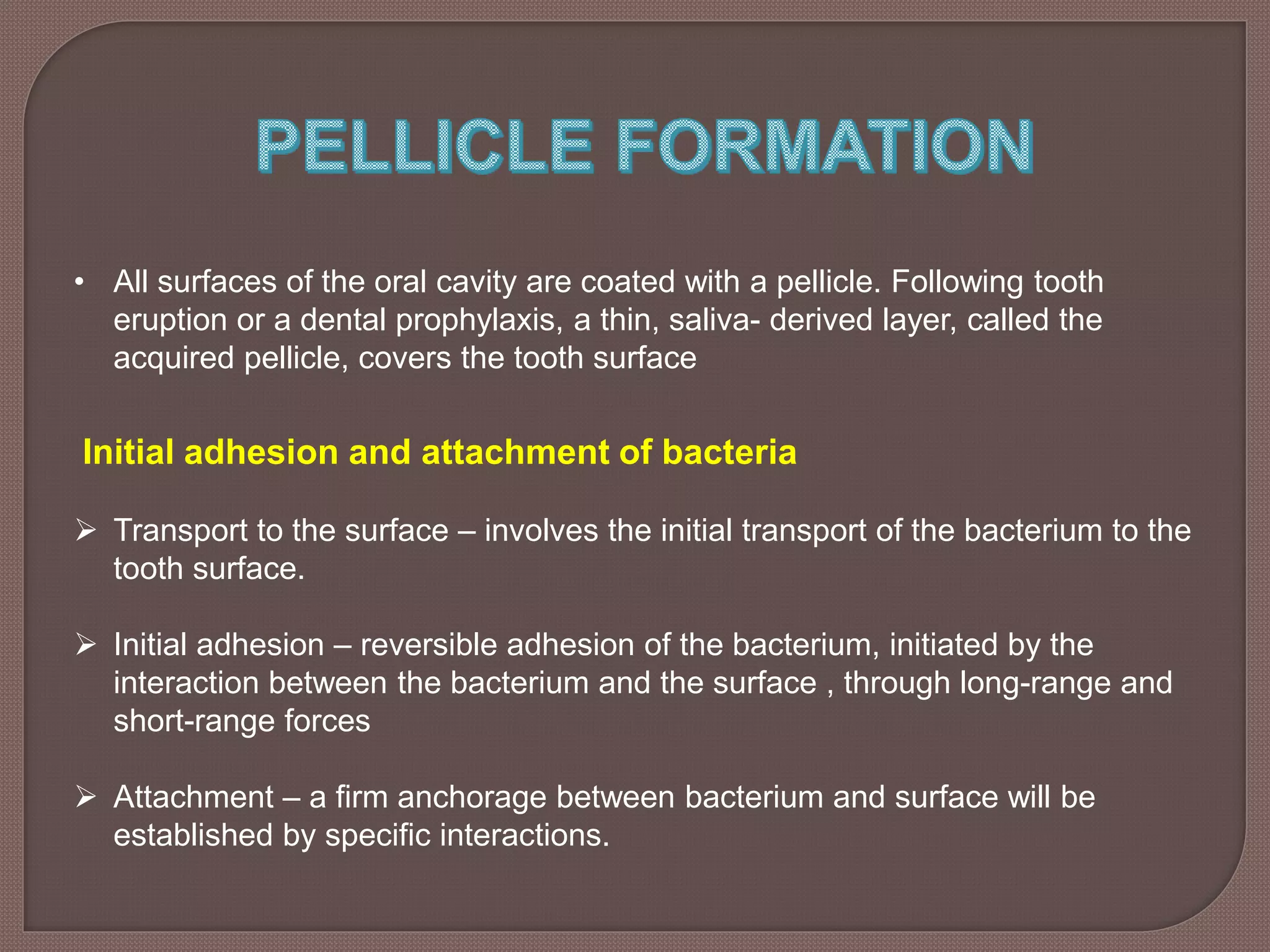 Dental Calculus ppt | PPTX