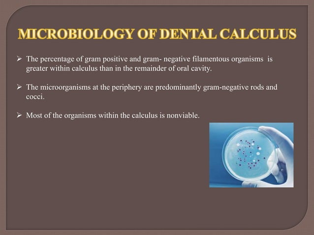 Dental Calculus ppt | PPTX