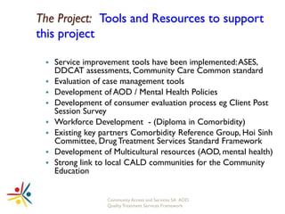 Quality of CALD and AOD Treatment Services | PDF