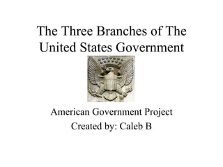 Three Branches Of Government Project