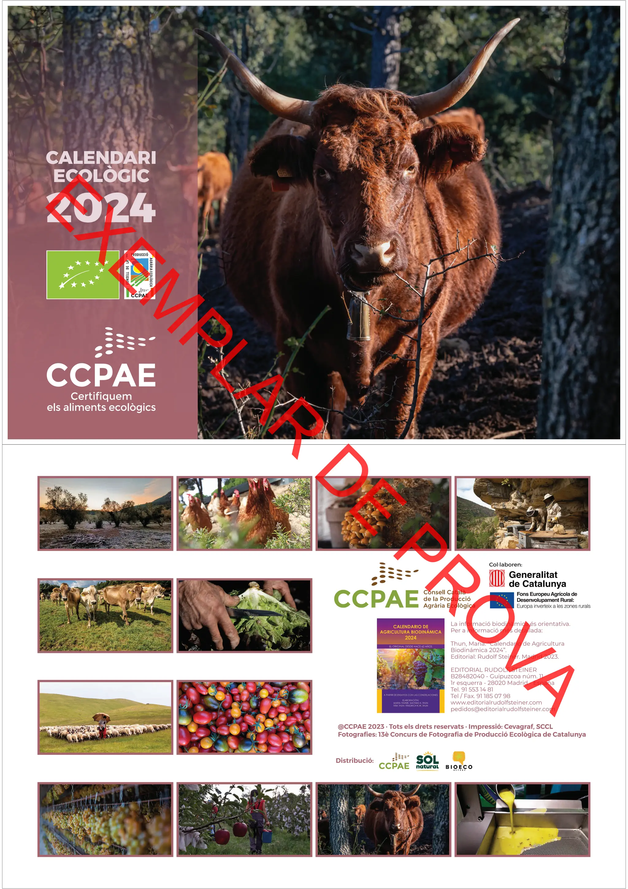 Calendari Ecològic 2024 del CCPAE | PDF