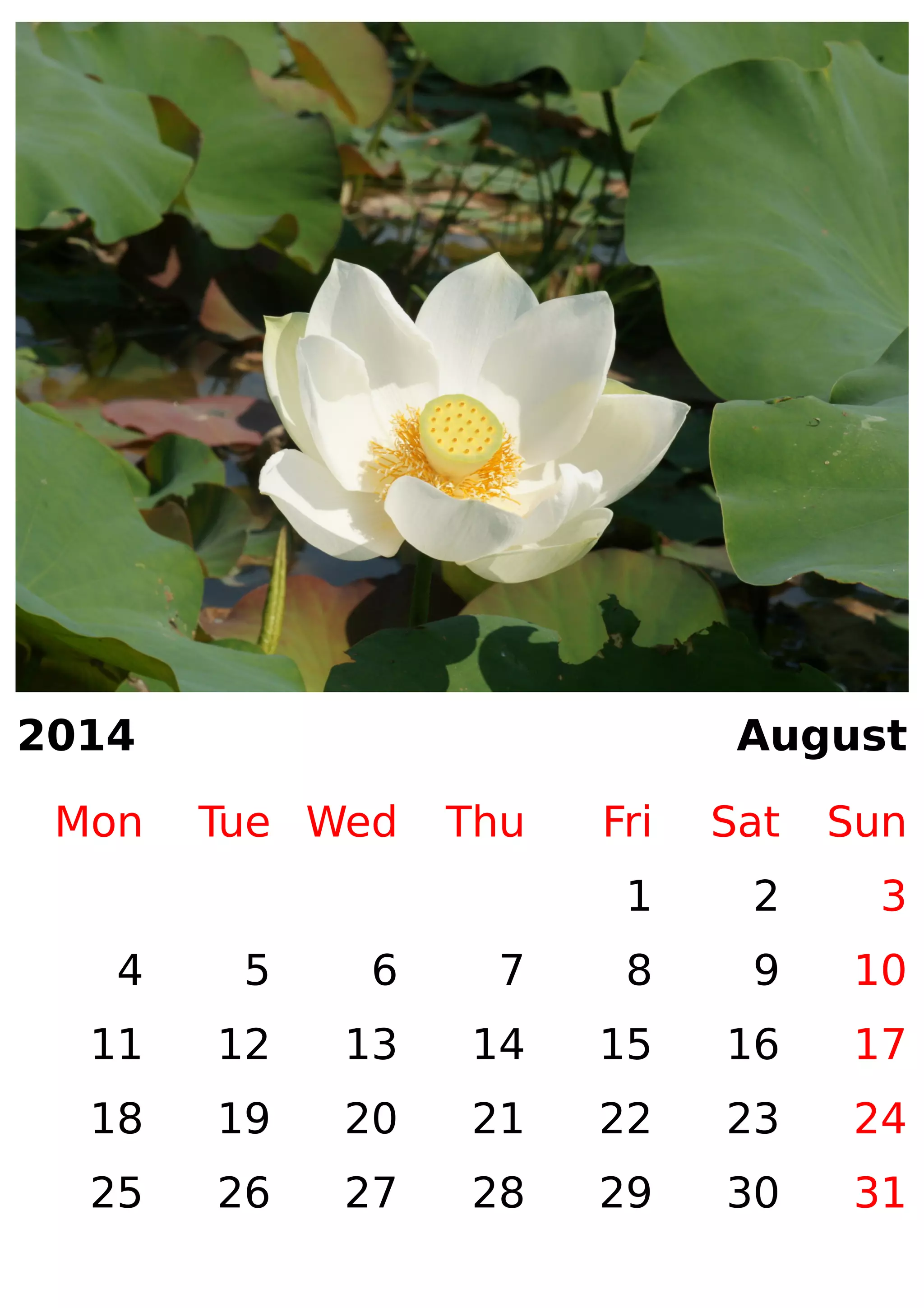 Calendar lotus 2015 | PDF