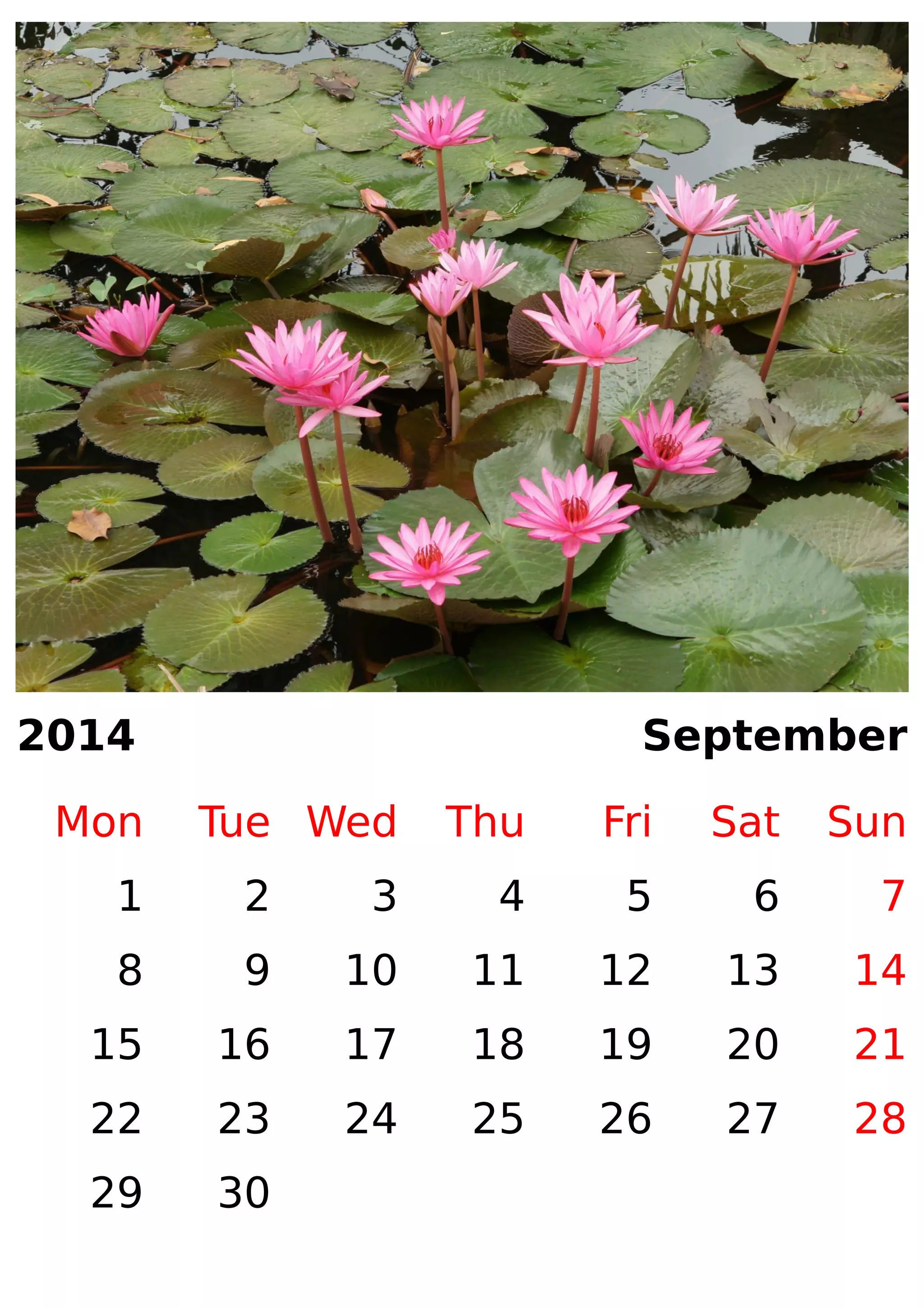 Calendar lotus 2015 | PDF