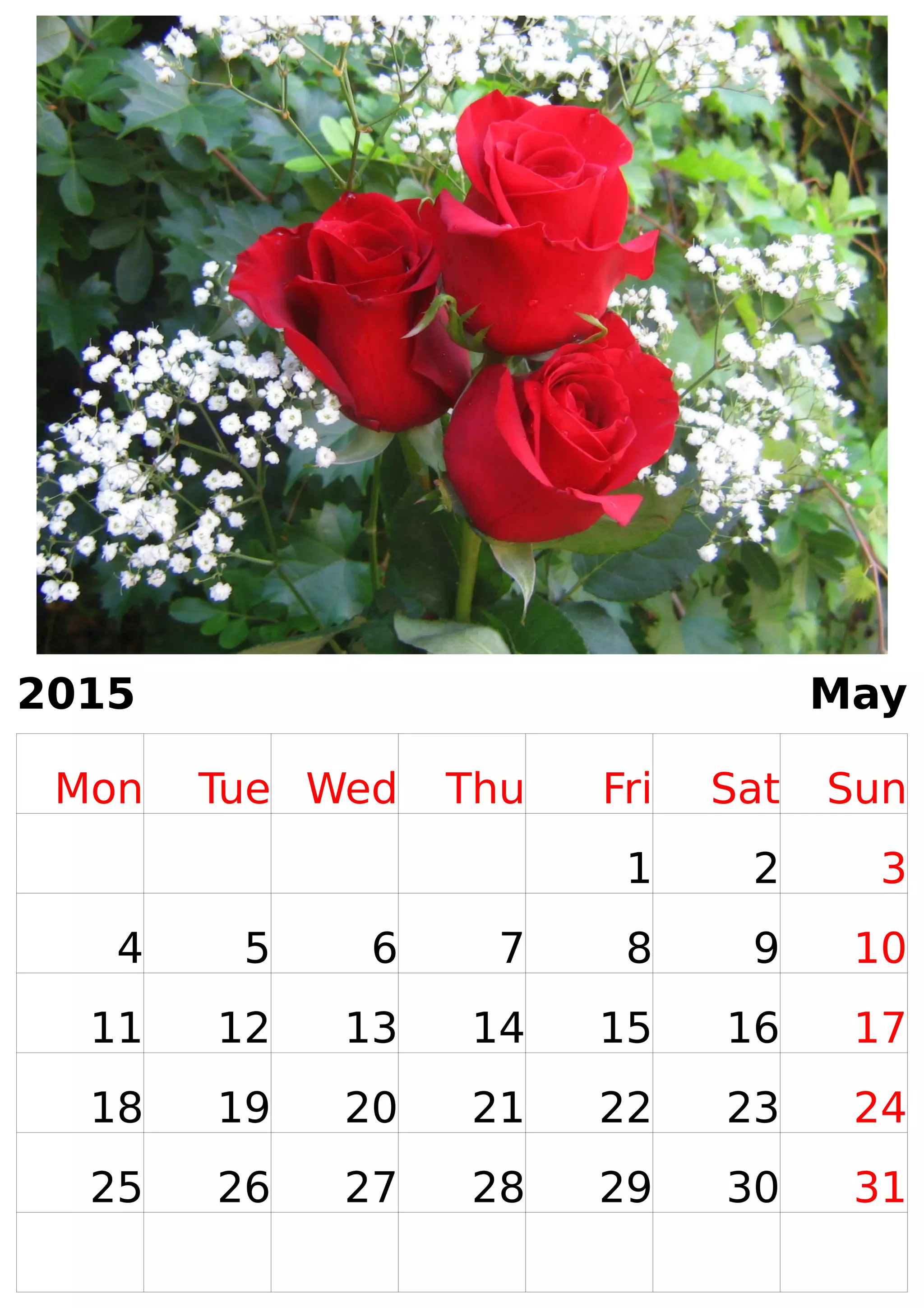 Roses Calendar 2015 | PDF