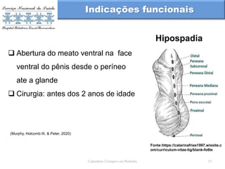 CALENDÁRIO CIRURGICO.ppt