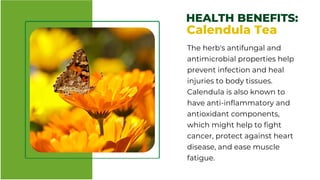 Calendula Tea | PDF
