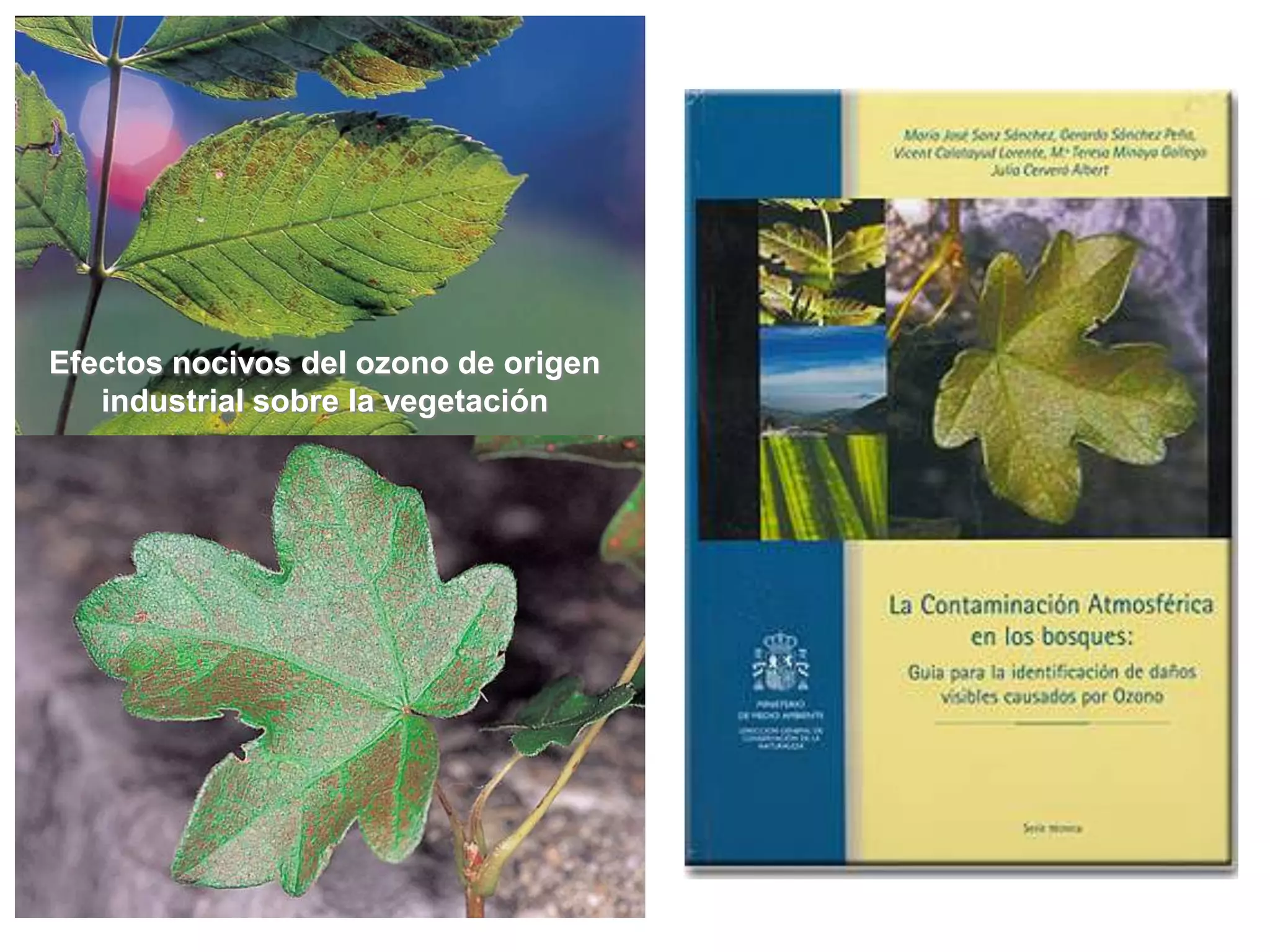 Calentamiento global y cambio climatico | PPTX | Science