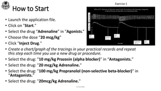 CAL Lab Pharmacology | PDF