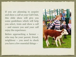 Calf Care | KEY