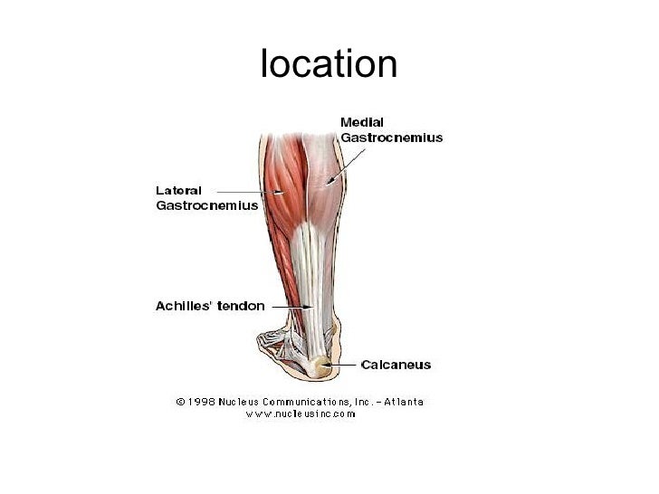Calf And Achilles Tendon Injuries