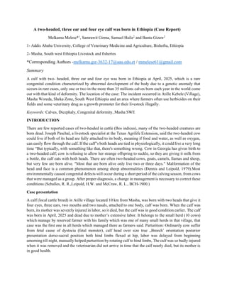 Calf born With 2 head, 3 ear and 4 eye, Masha, SWE.pdf