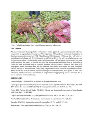 Calf born With 2 head, 3 ear and 4 eye, Masha, SWE.pdf