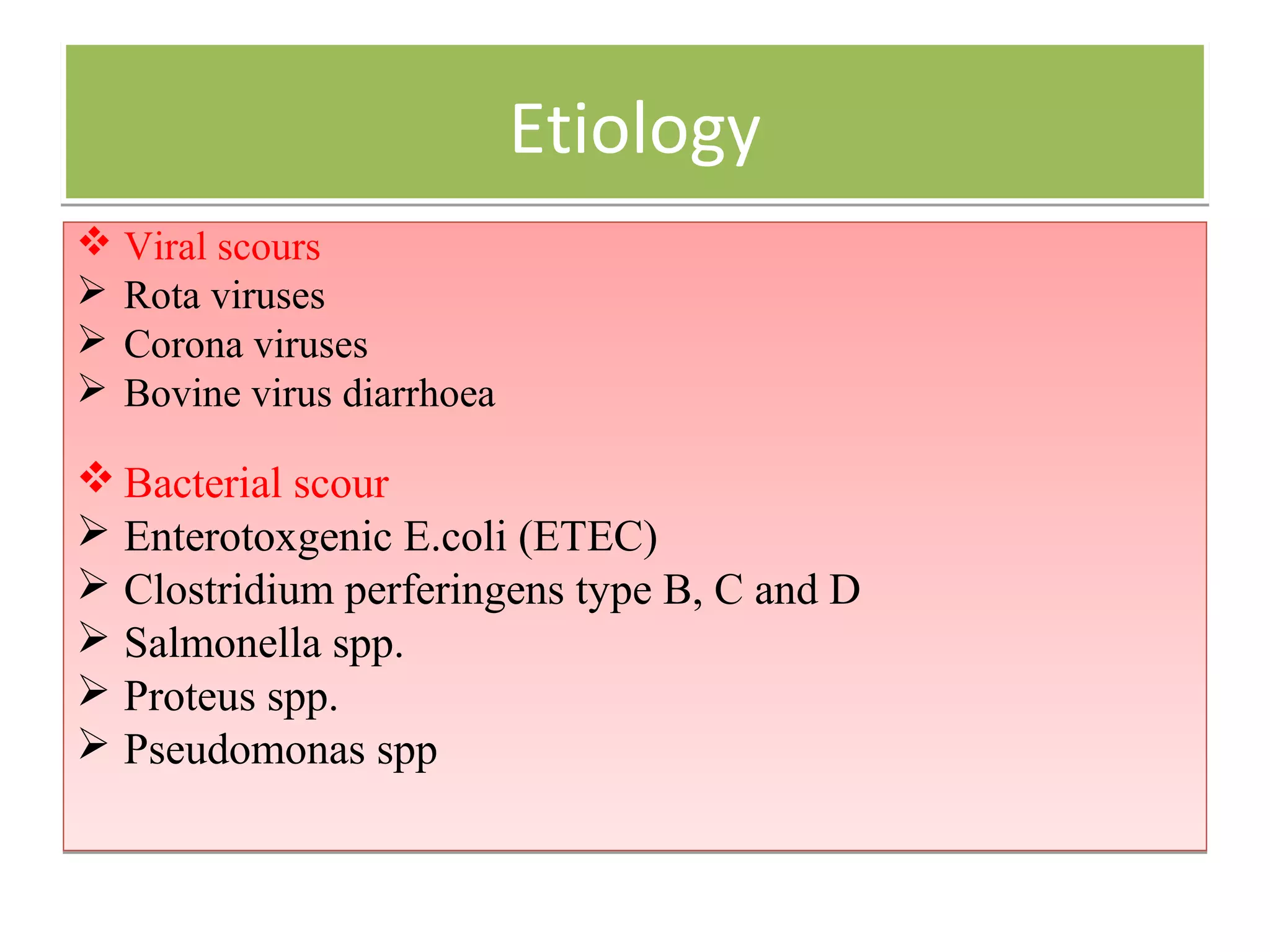 Calf diarrhoea | PPT