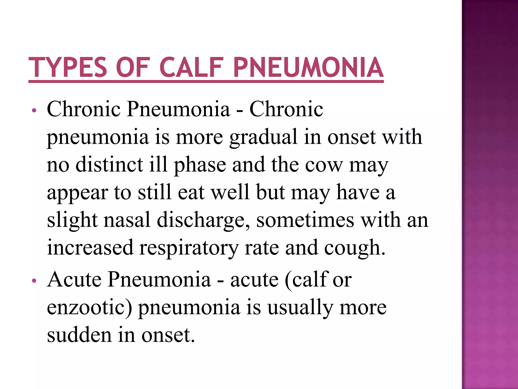 Calf diseases 4 | PPTX