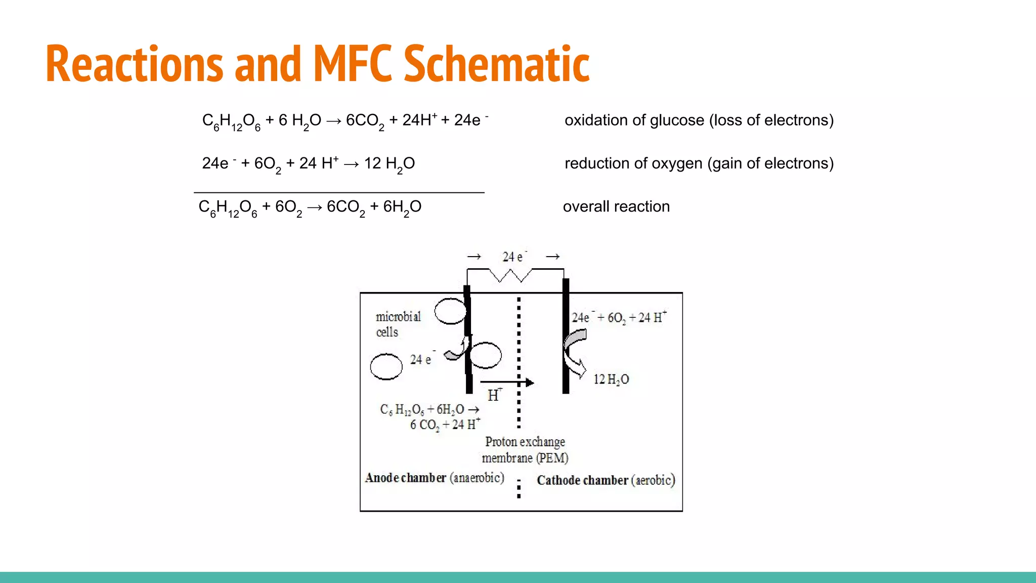 Microbial Fuel Cell Project | PDF