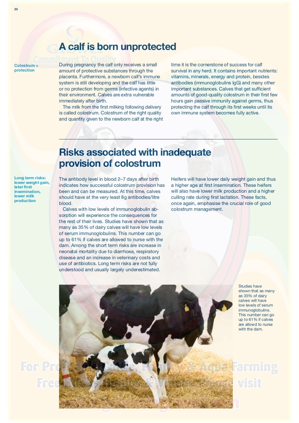 Calf Health Management Guide