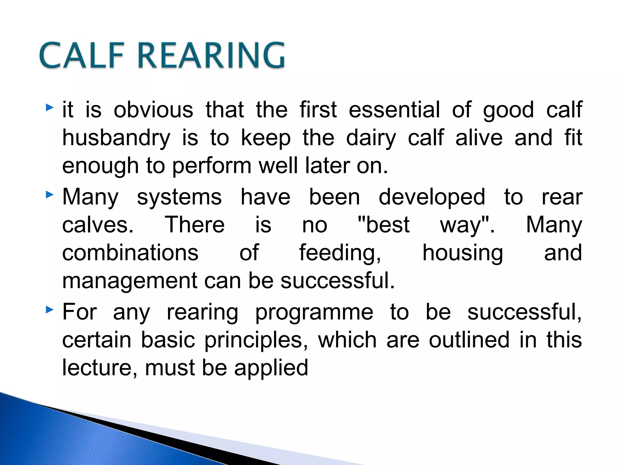 Lecture 4: Calf management | PPT